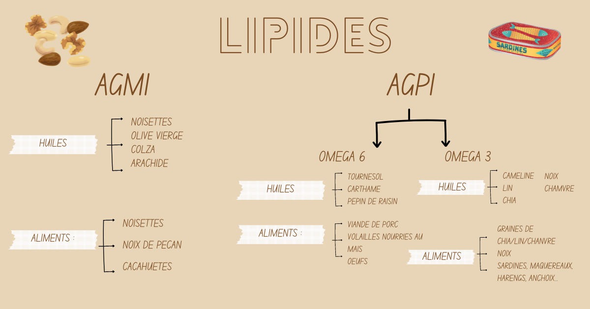 Un petit déjeuner protéiné et riche en lipides - Vitalisetoi.fr